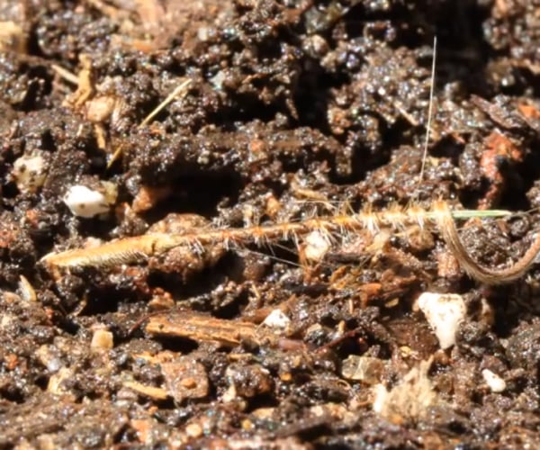 Awesome Stuff and Cool Things : The Awesomer