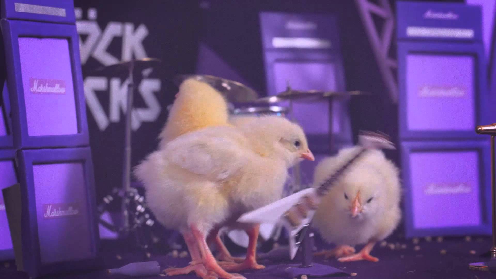 Rock Chicks