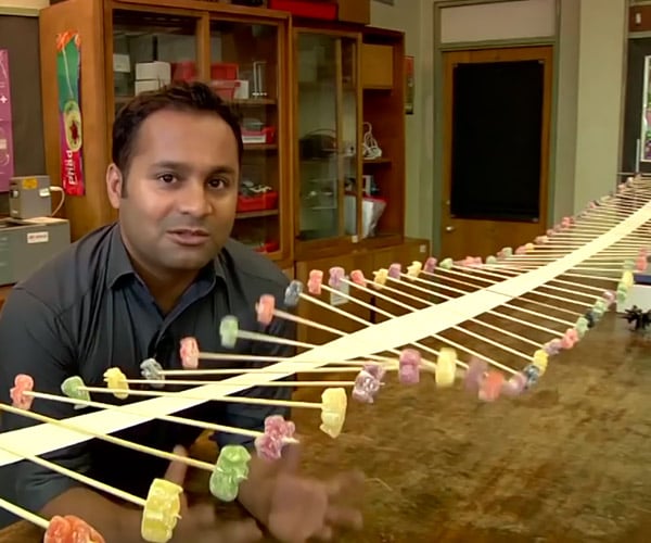 The Jelly Baby Wave Machine