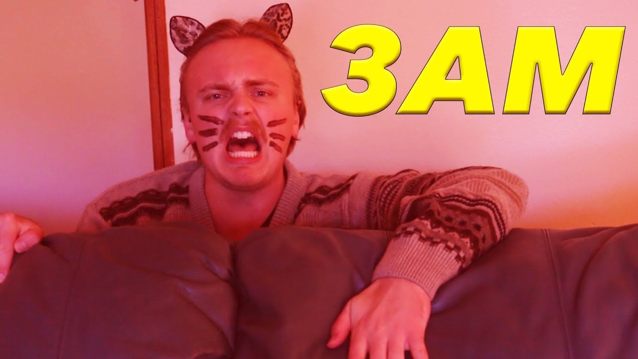 Every Cat at 3AM