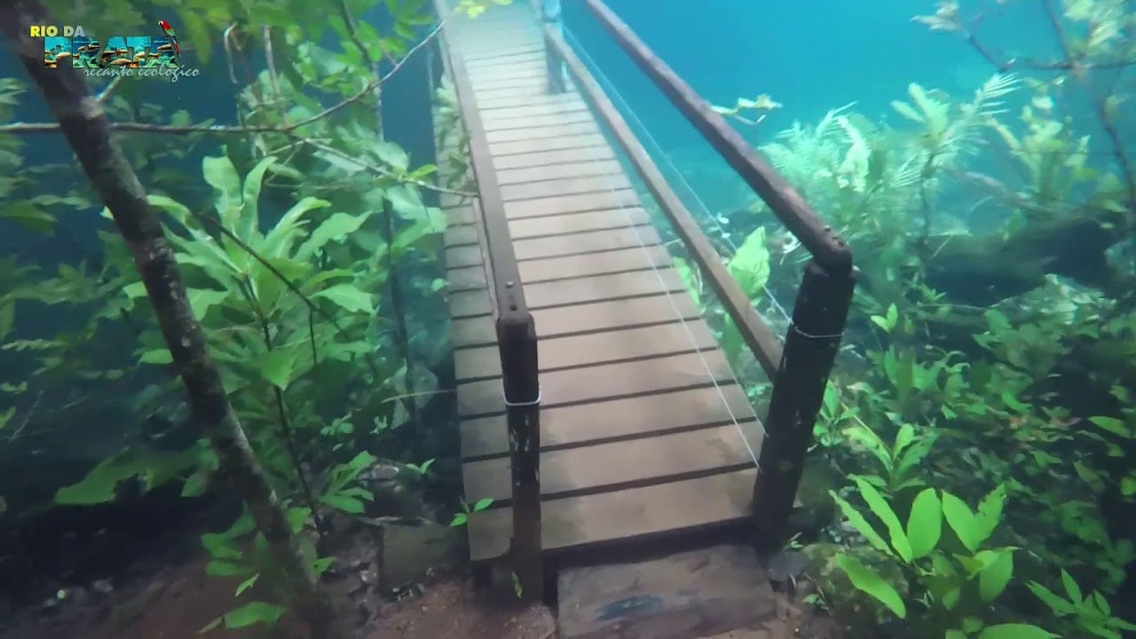 Take a Stroll Along a Nature Trail Submerged Underwater