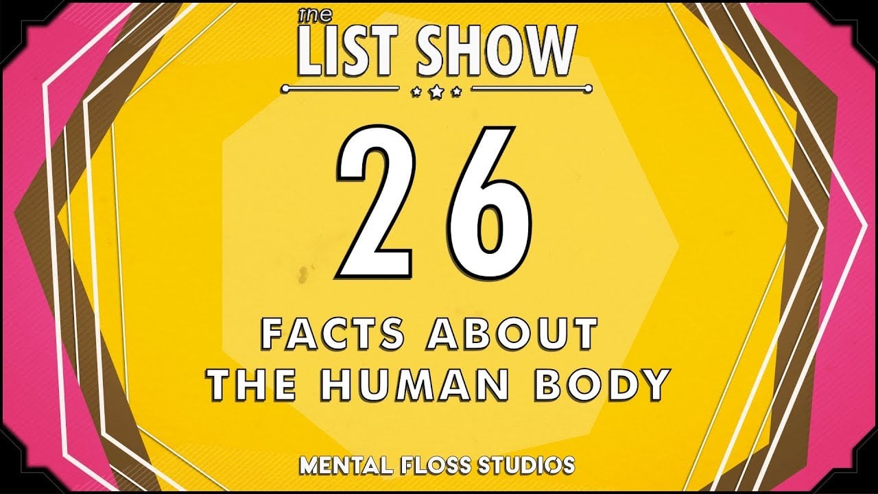 Some Fascinating and Weird Facts about the Human Body