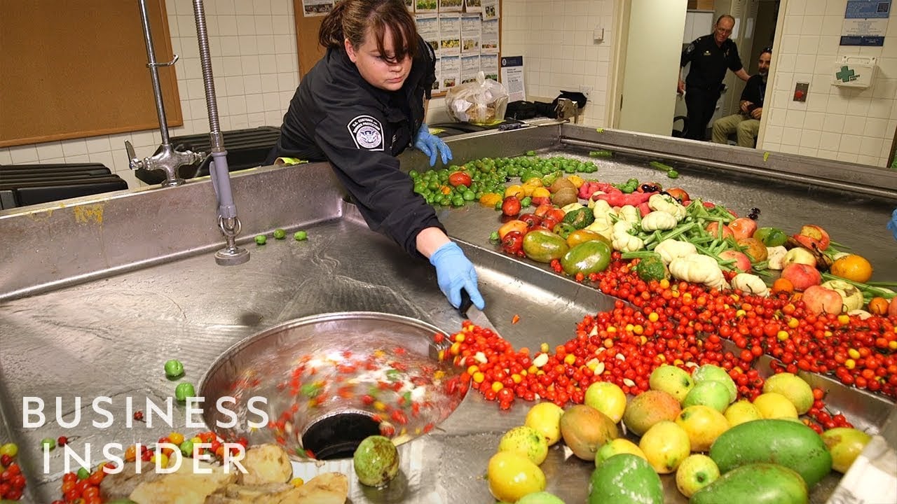 How U.S. Airport Customs Destroys Contraband