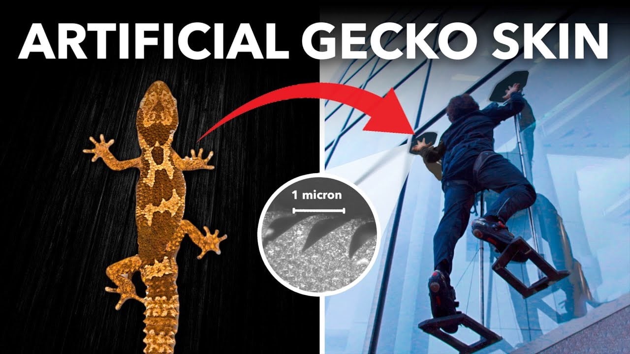 How "Gecko Skin" Material Works