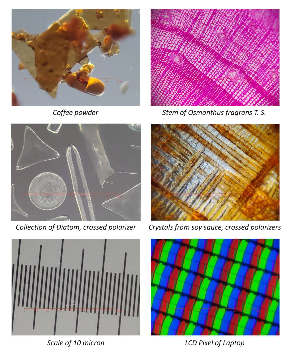 The iMicro Q3p Lens Turns Your Smartphone Into a Microscope