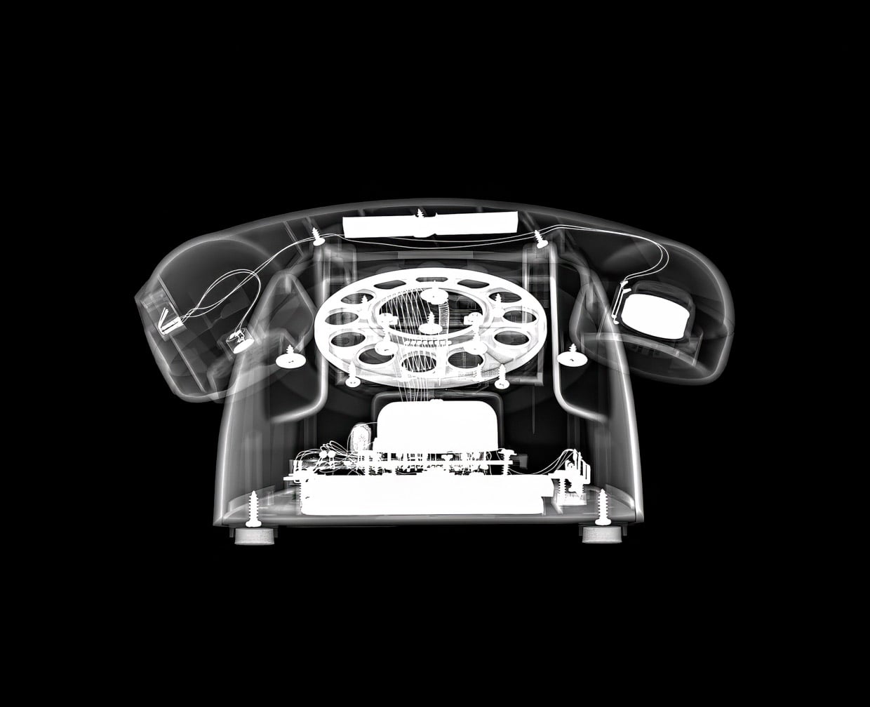 Fascinating X-Ray Images Head to Chicago's Griffin Museum of Science ...