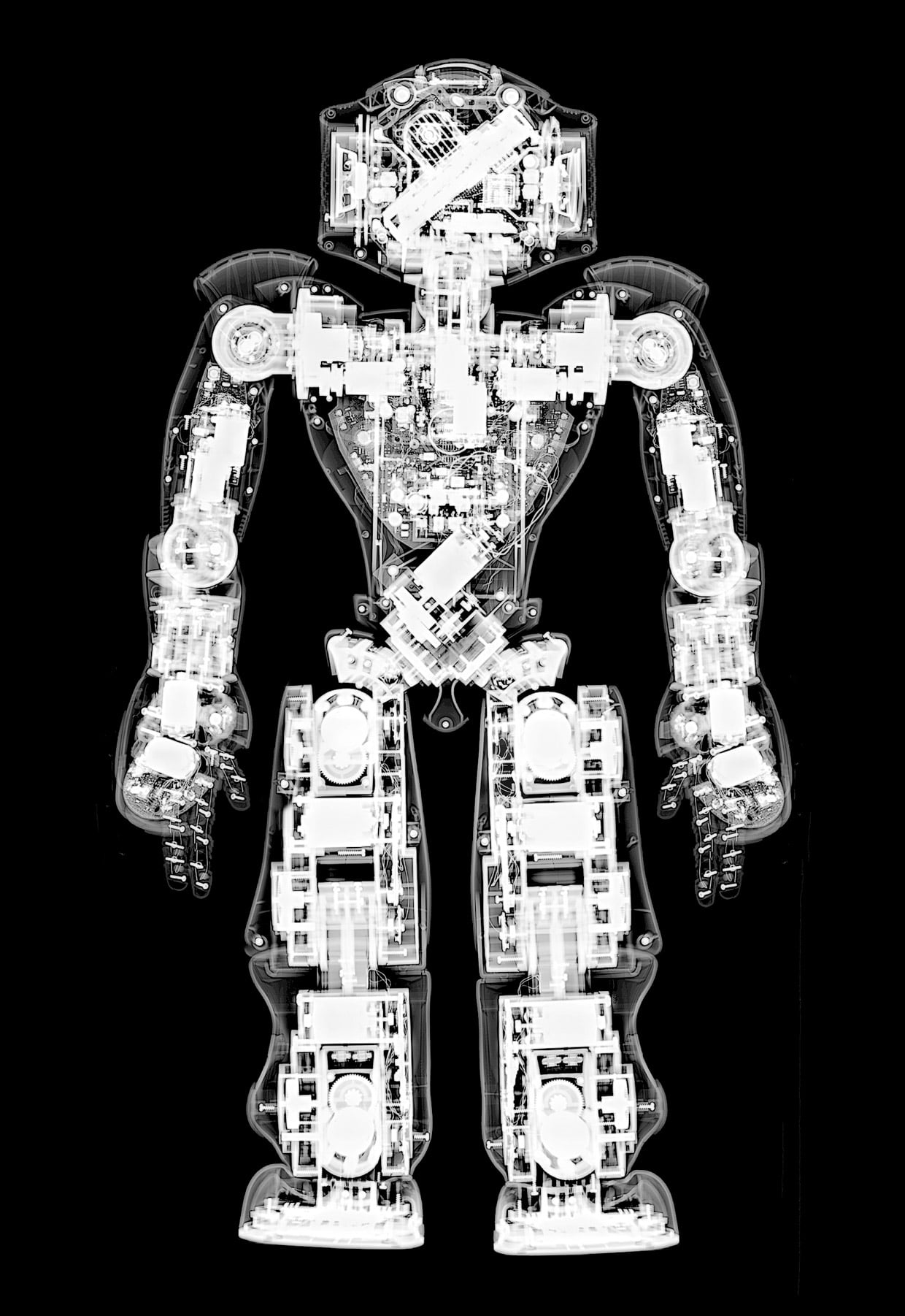 Fascinating X-Ray Images Head to Chicago's Griffin Museum of Science ...