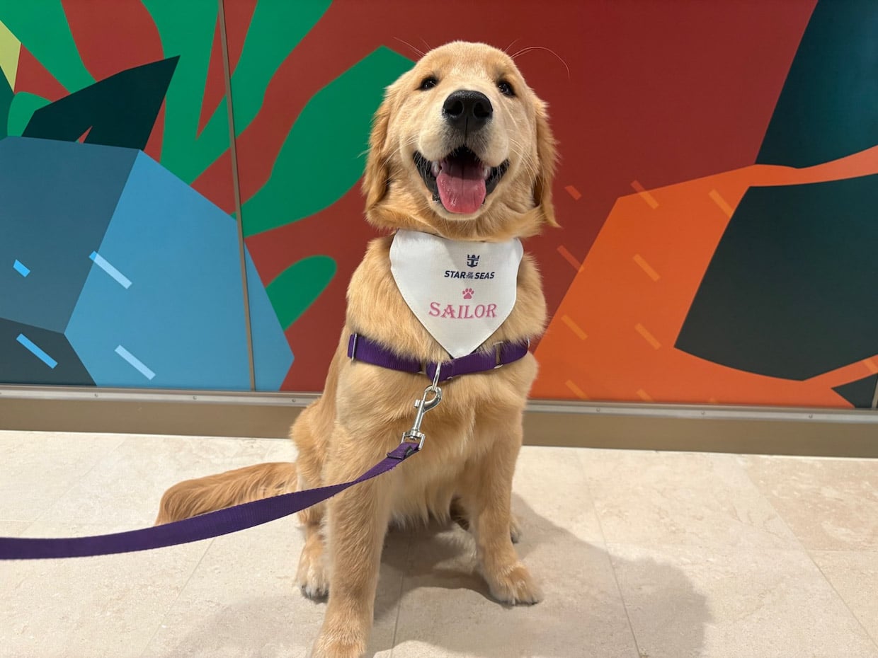 Royal Caribbean’s Chief Dog Officers