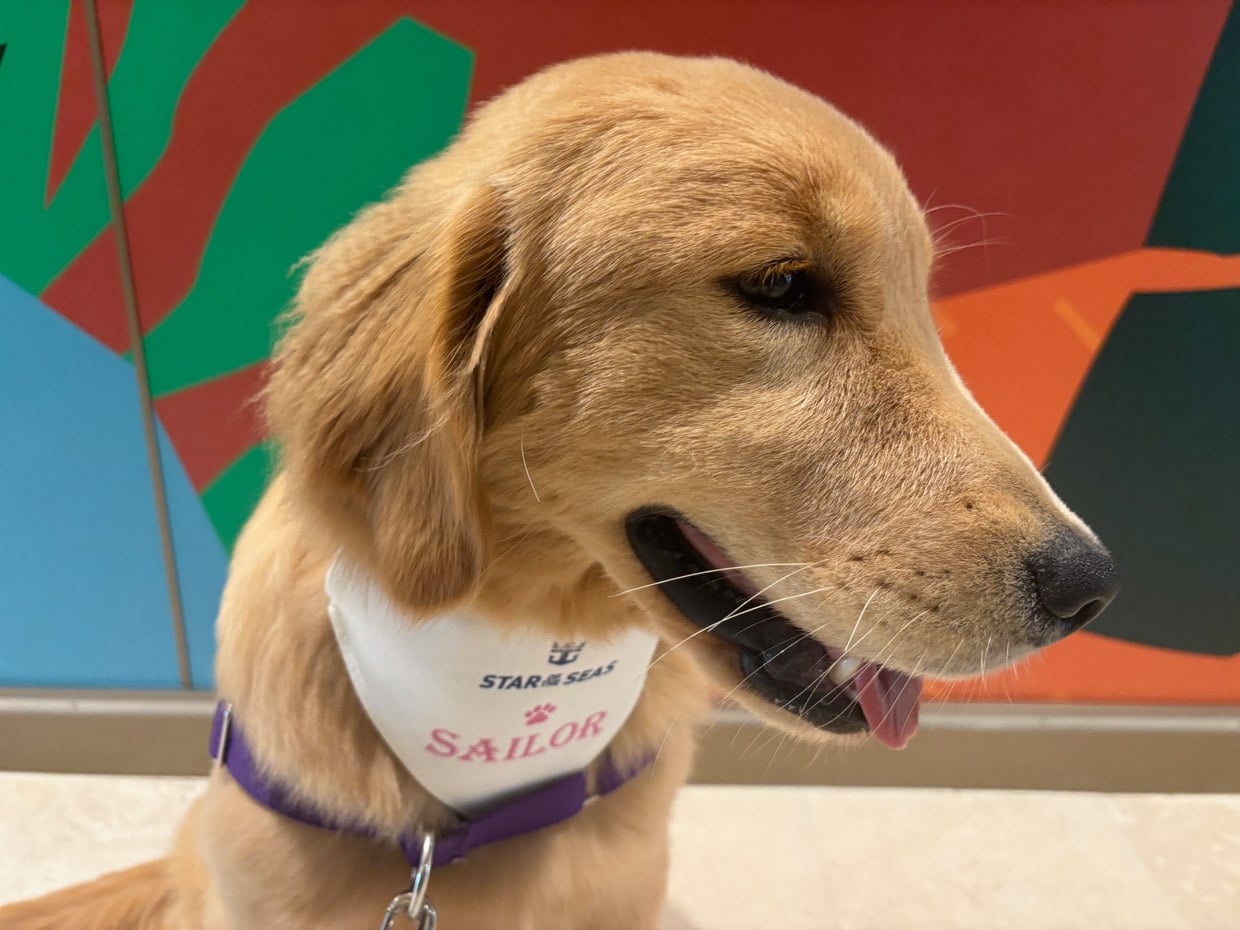 Royal Caribbean’s Chief Dog Officers