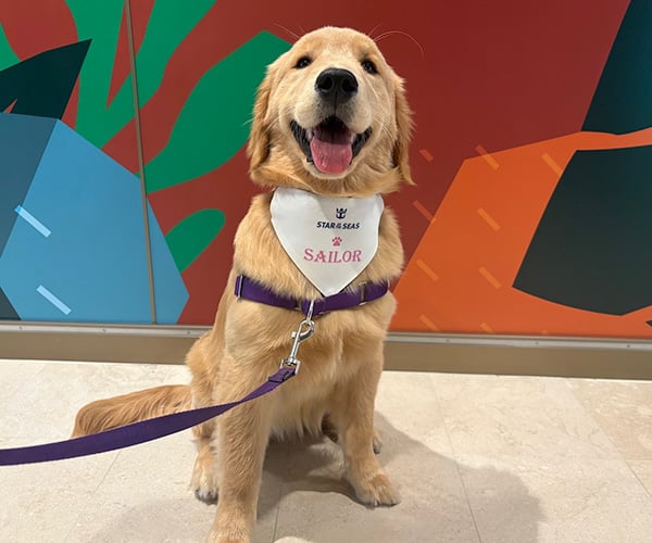 Awesome Stuff and Cool Things : The Awesomer