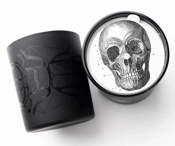 Entertrained Lets You Practice Typing with the Help of Literary Classics