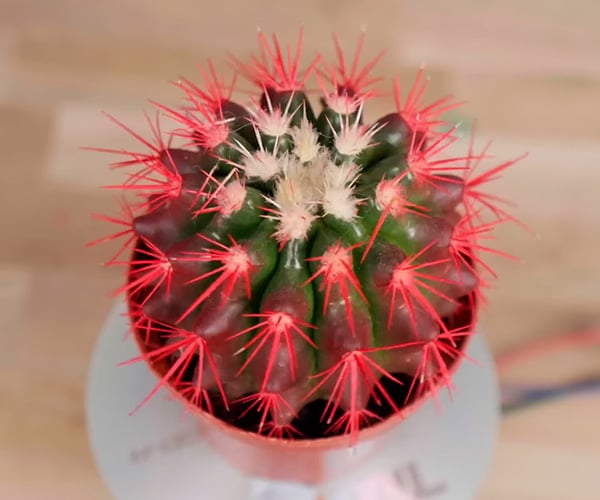 A Compilation of the Best Time-Lapse Footage of Plants Growing