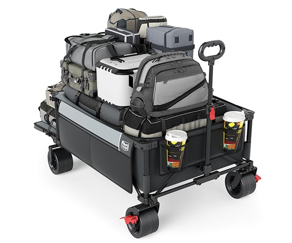 Entertrained Lets You Practice Typing with the Help of Literary Classics