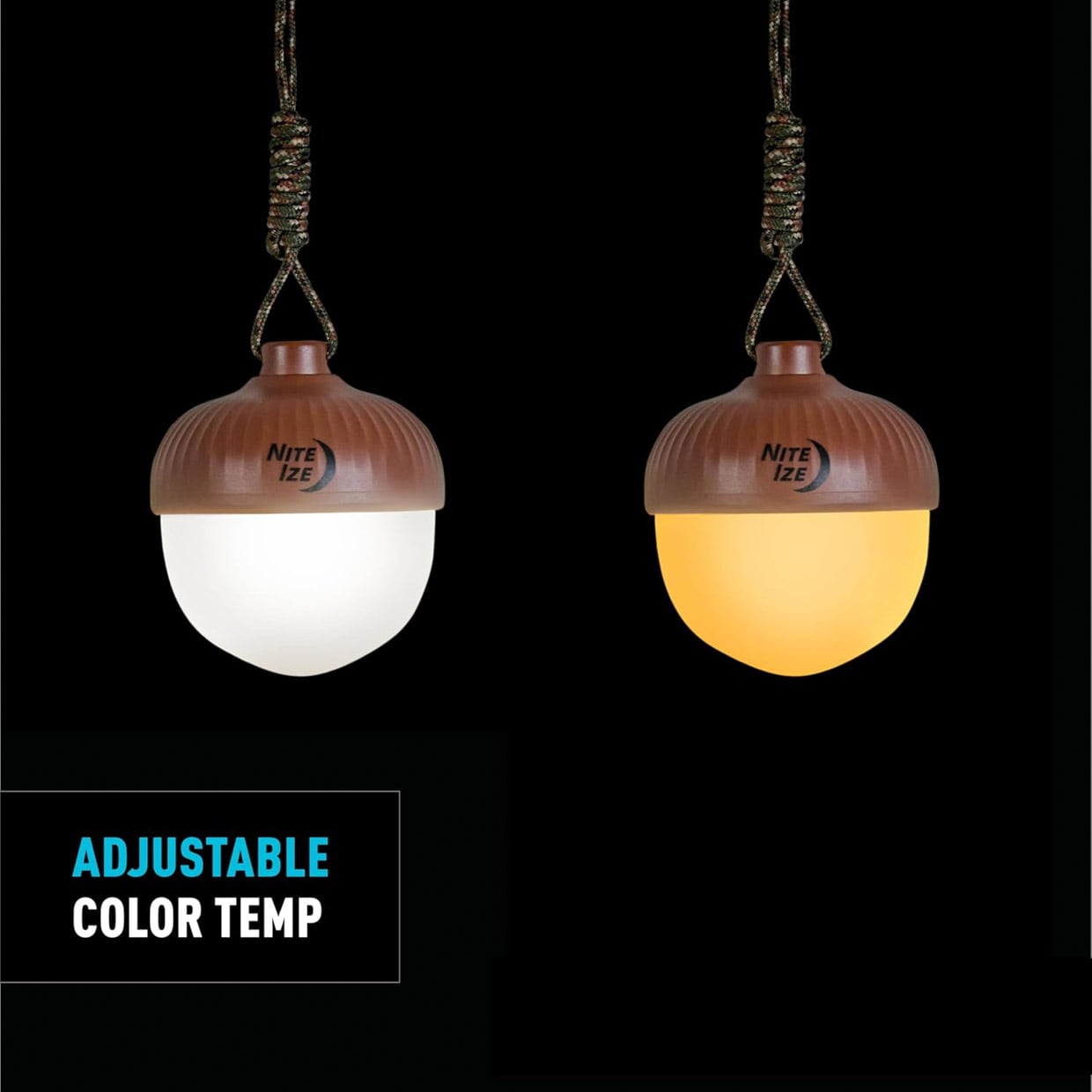 Squirrels Go Nuts for this Giant Acorn Lantern