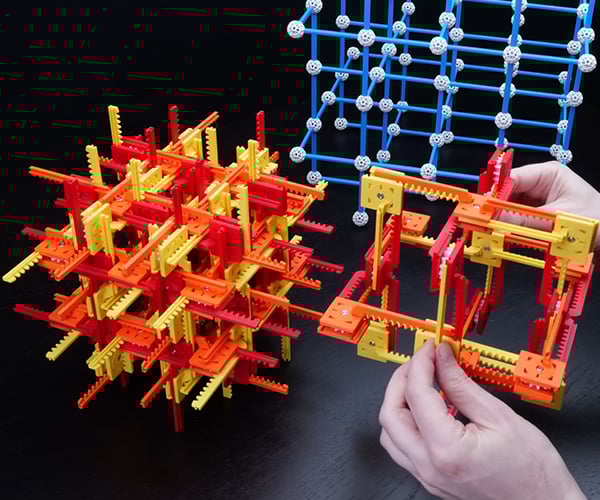 The Forest Remembers in The Science Fiction Short Film "Woodnuts"