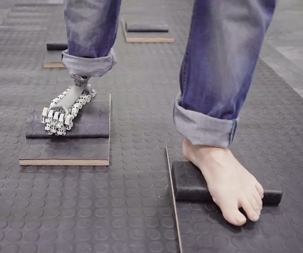 Toucan Cocktails Come in Two Cans